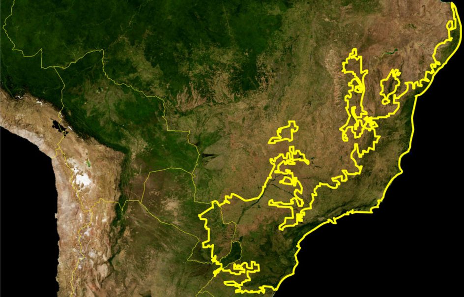 Laatste resten van Atlantisch Woud bedreigd | TROUW