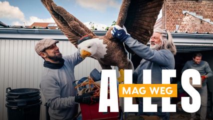 Alles Mag Weg - Seizoen 1 - Kijk gratis naar volledige afleveringen - VTM GO