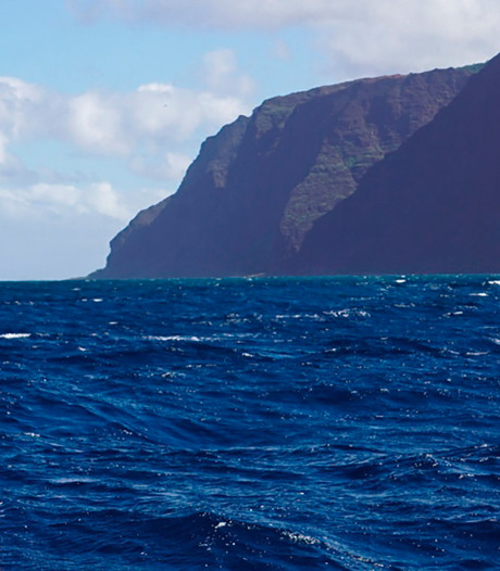 7sur7.be, l'actualité belge et internationale en temps réel | 7sur7.be