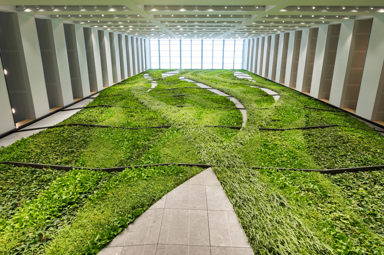 EMA’s new office in Amsterdam: a surprisingly dramatic interior behind ...