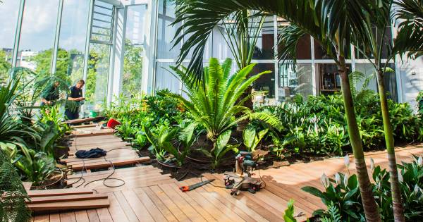 2College Jozefmavo en Campus 013 trekken juichend nieuw gebouw in ...