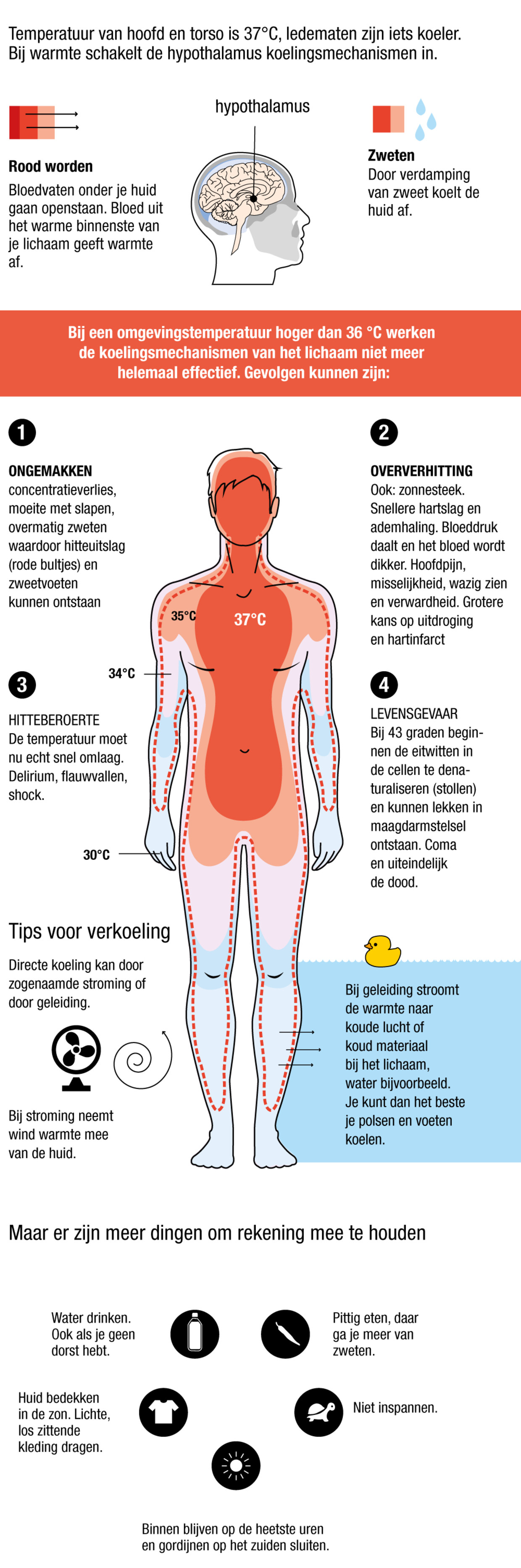Wat gebeurt er in ons lichaam bij deze hitte? | Het Parool