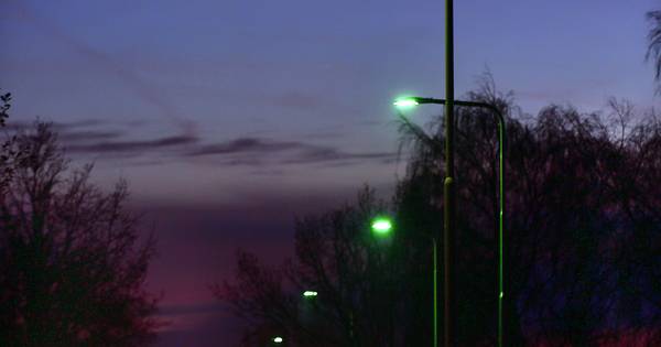 'Voor de natuur is groene verlichting écht niet goed' | Brabant ...