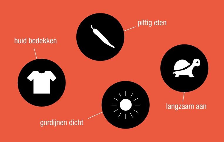 Wat gebeurt er in ons lichaam bij deze hitte? | Het Parool