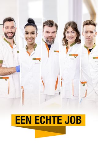 Een Echte Job - Kijk gratis naar volledige afleveringen - VTM GO