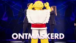 Cupido wie ben jij echt? - The Masked Singer