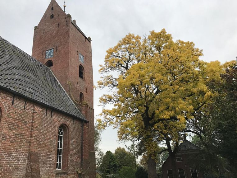 Een rondje door het mooiste dorp van Groningen: Garnwerd | De Volkskrant