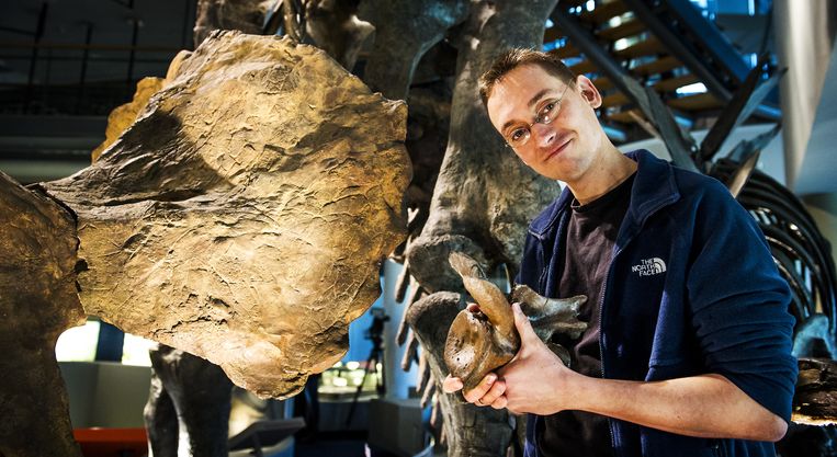 De perfecte dino-opgraving: 'graven heeft altijd open einde' | De Volkskrant