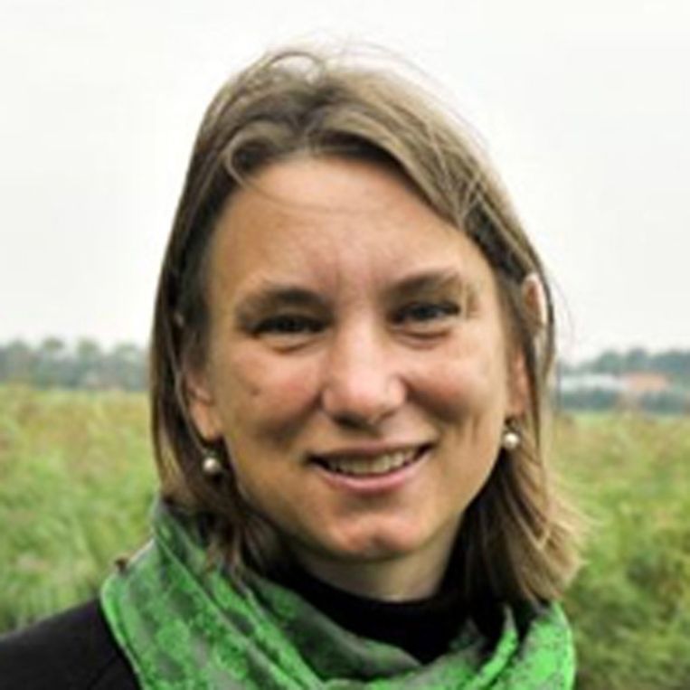 Dit zijn (volgens u) de twaalf beste raadsleden | De Volkskrant