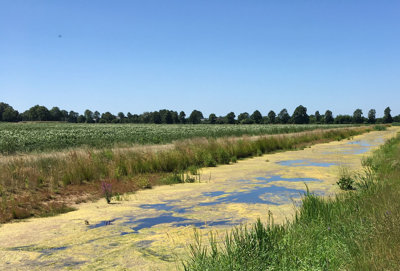 Emmer water uit sloot kost 550 euro | Foto | gelderlander.nl