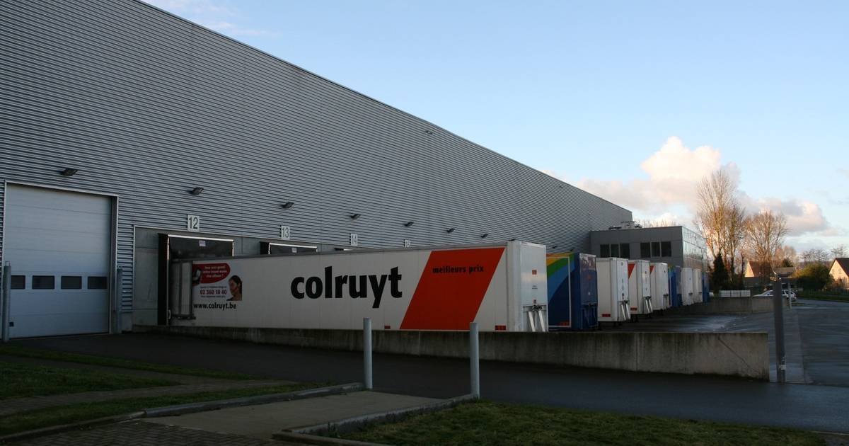 Colruyt investeert in Denderstreek | Aalst | hln.be