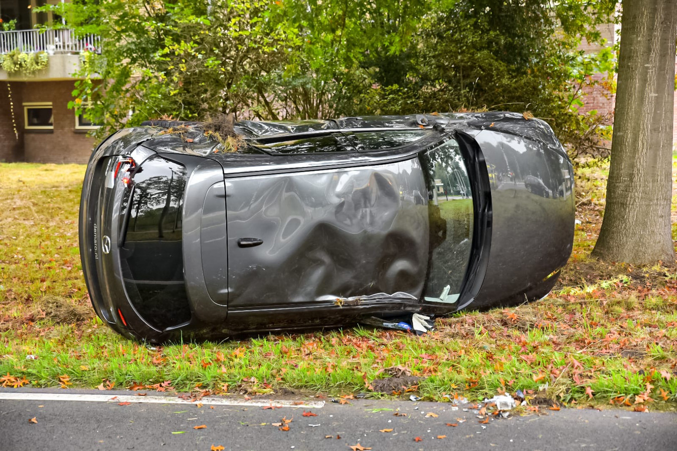 Postico 1 4 2 - downoload