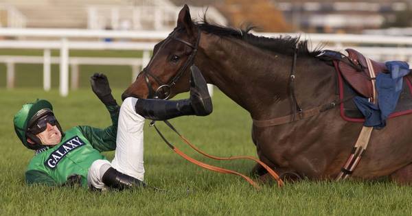 Nouveau décès d'un cheval en plein concours d'équitation | Autres ...