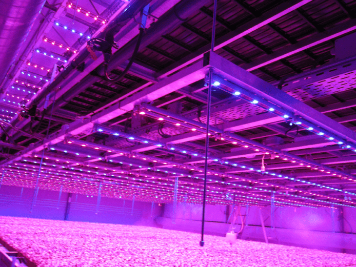 Oud-topman PlantLab Den Bosch start nieuw bedrijf | 's-Hertogenbosch ...