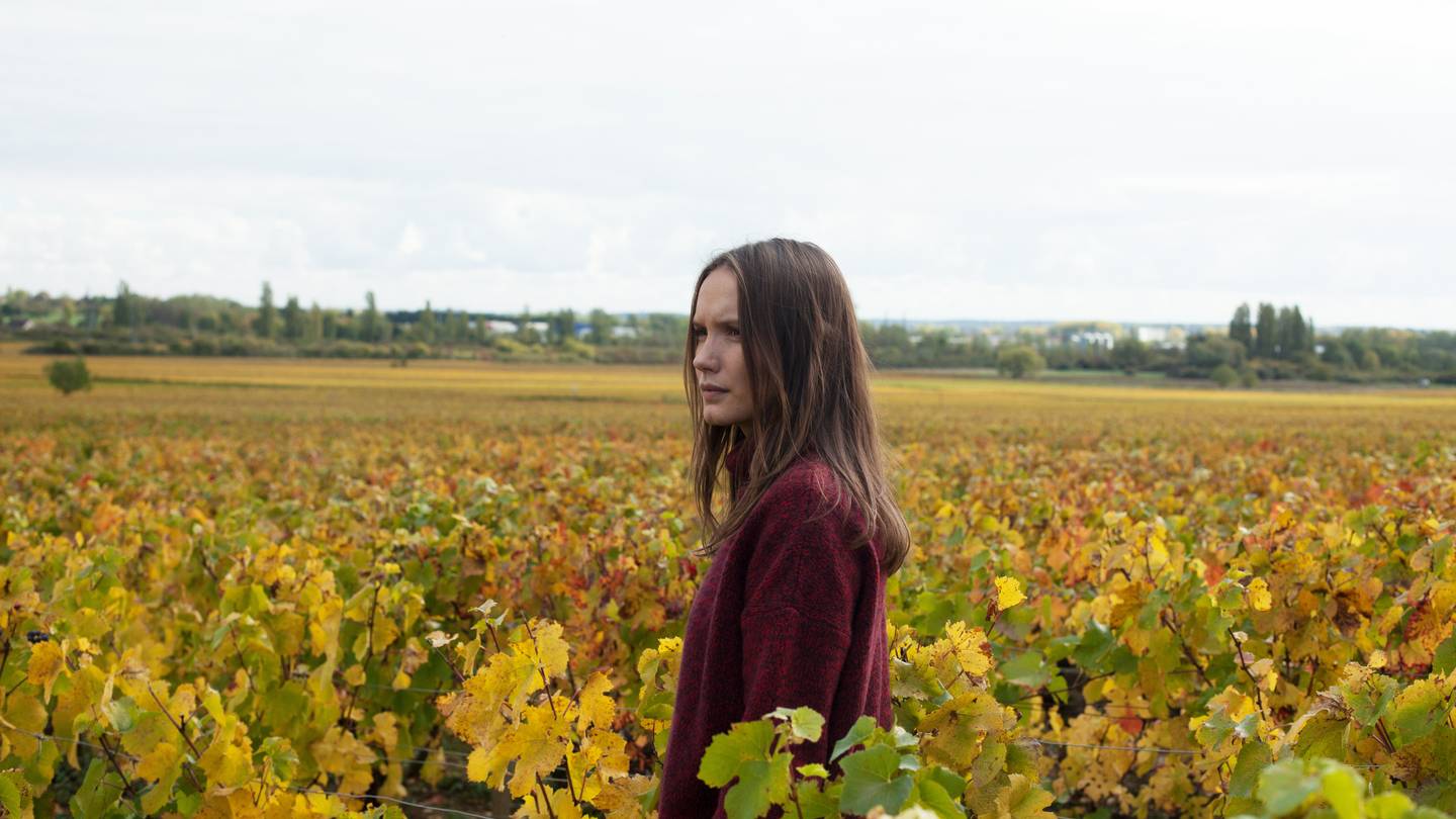 Der Wein und der Wind - ZDF - zondag 11 januari 2026 - 03:45 - TV-Gids