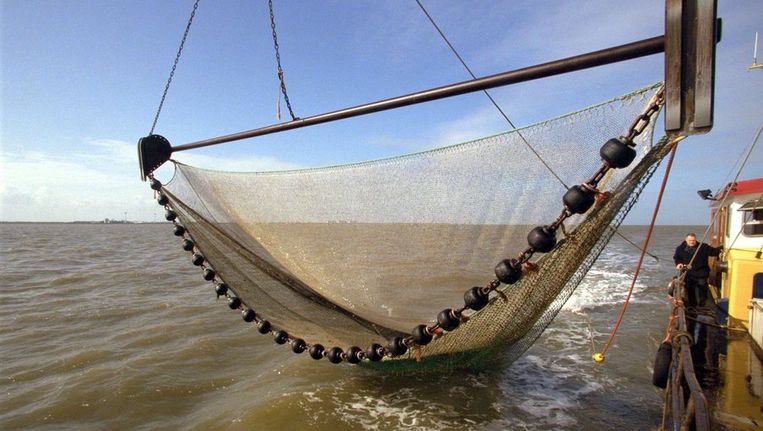 Wie heeft je vis gevangen en waar? | Trouw