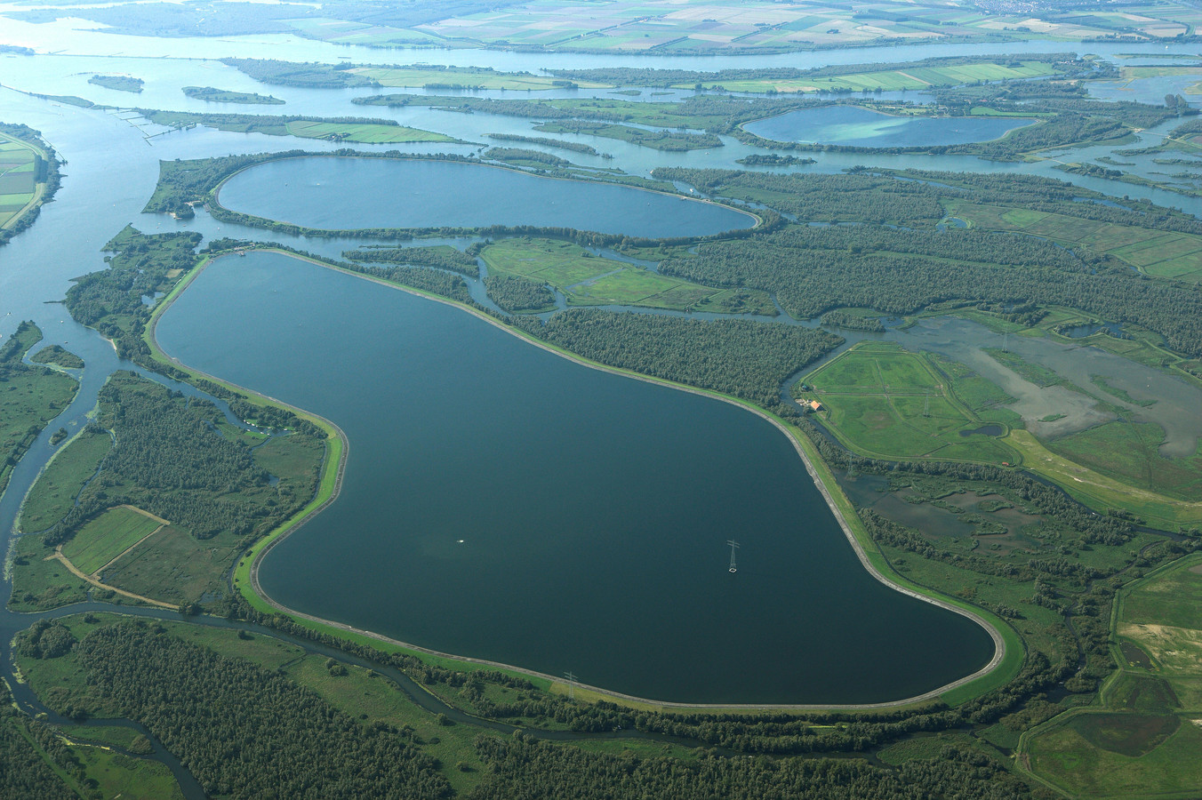 Evides: Droogte? In de Biesbosch ligt nog water zat! | Foto | AD.nl
