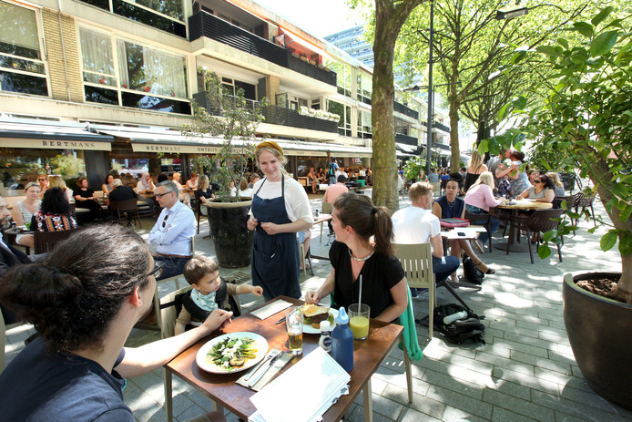 Horeca Rotterdam groeit: 'Restaurants met concept meest succesvol ...