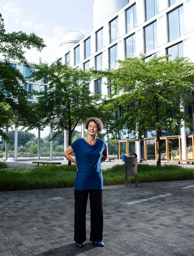 UvA-voorzitter Geert ten Dam: ‘Fysiek contact is essentieel voor goed ...