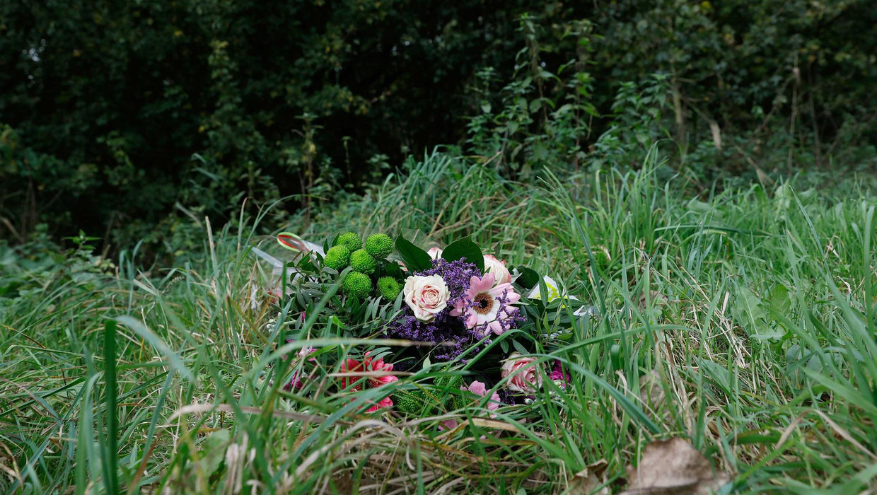 Michael P. bekent verkrachting en moord Anne Faber; toont volgens ...