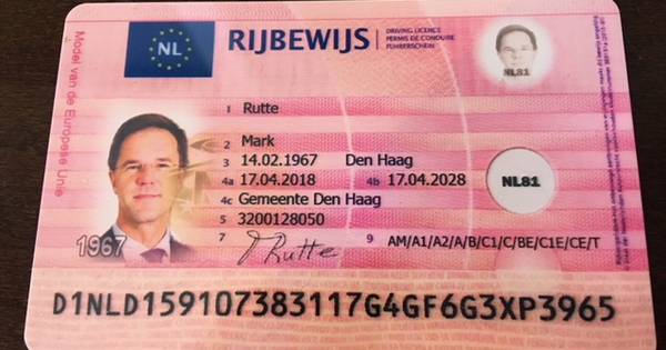 Valse rijbewijzen eenvoudig te koop via Poolse website | Binnenland | AD.nl