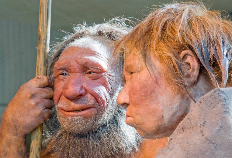 Wetenschap: Portie neanderthaler-dna beschermde ons tegen virusziekten