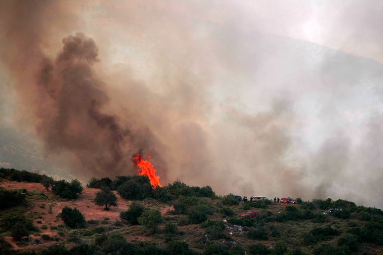 Zware bosbrand op Grieks eiland Evia zorgt voor dikke rook in Athene ...