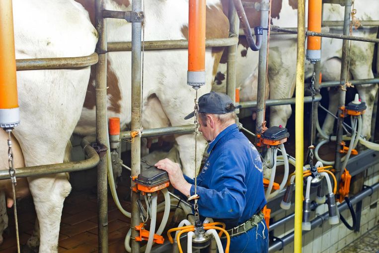 De melkboer in Groot-Brittannië is terug van weggeweest | TROUW